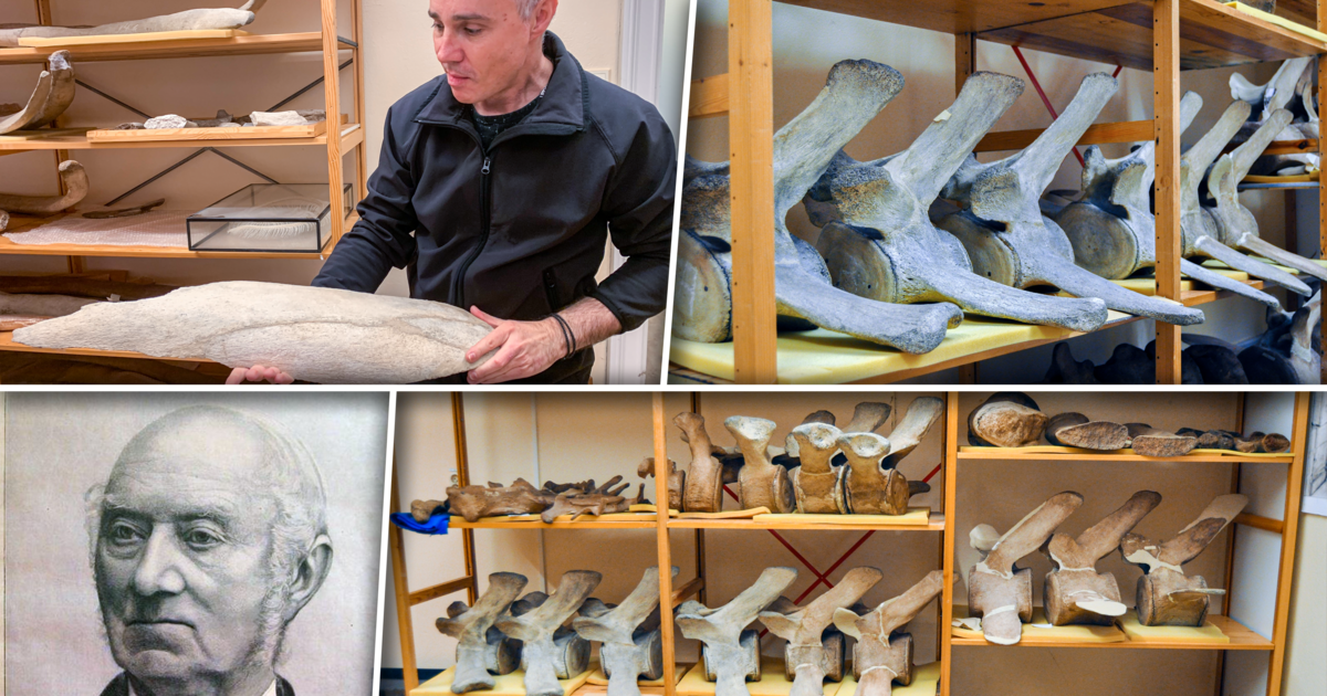 Bönderna hittade "ben från jätte" på 1840-talet – forskas om än idag ...