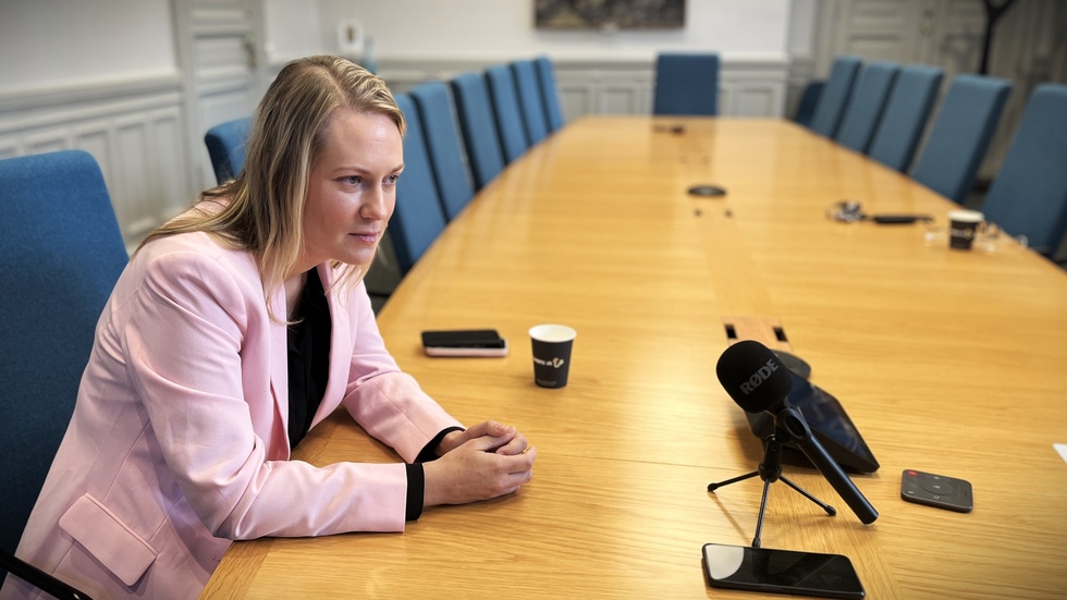 Kritiken efter mordet på Linköpingspojken nådde inte politikerna