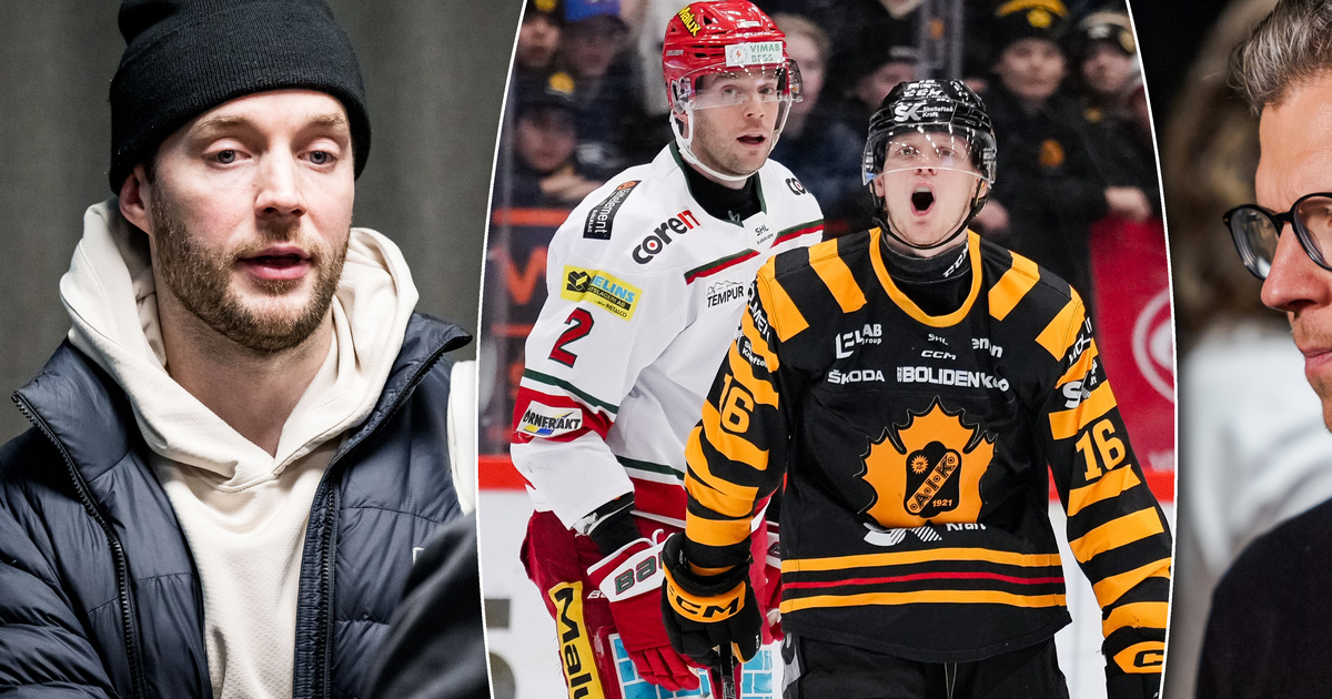 Beskedet från Skellefteå AIK – efter att Rundblad petats av Modo