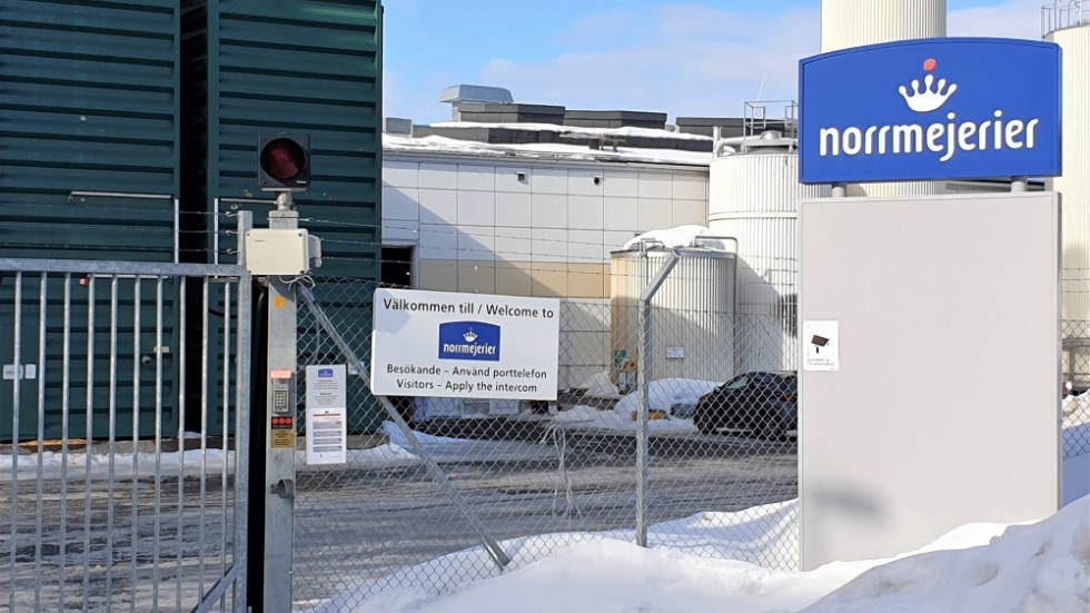 Norrmejerier gör rekordresultat – stärkt ersättning för mjölken