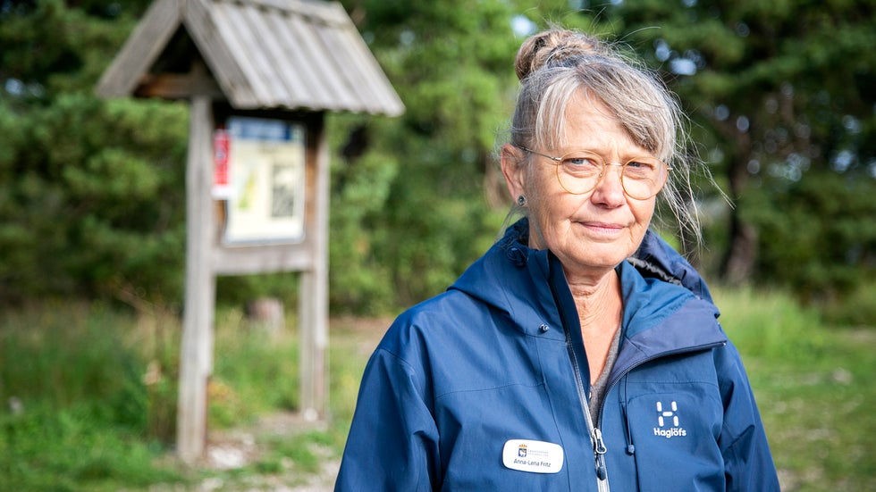 Svårt att få tillstånd för skyddsjakt på fiskmåsar