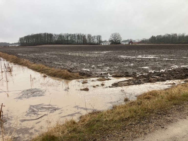 INSÄNDARE: Linköpings kommun tar inget ansvar – diket helt översvämmat