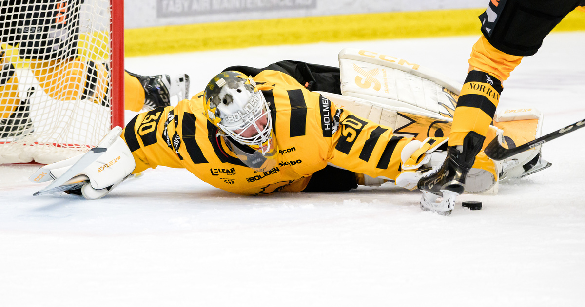 ERIK GRAHN LUNDGREN: Omöjligt att förstå Skellefteå AIK:s agerande i målvaktscirkusen