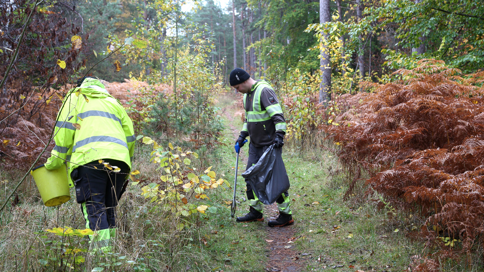 Jakten på de invasiva sniglarna: "Skyldighet att hjälpa"