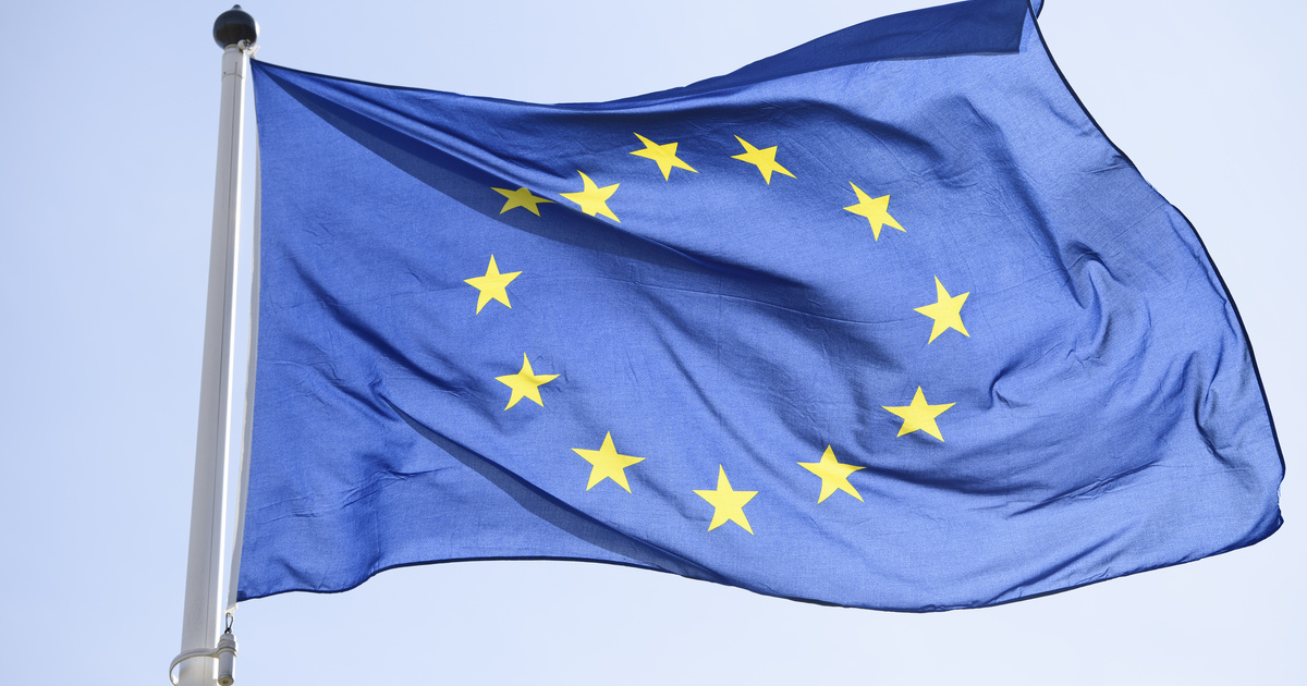 "Därför röstade jag nej till EU"