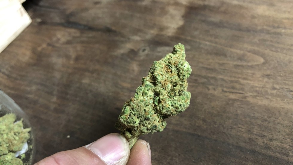 Förvarade över ett halvt kilo cannabis i hemmet • Två unga män döms ...