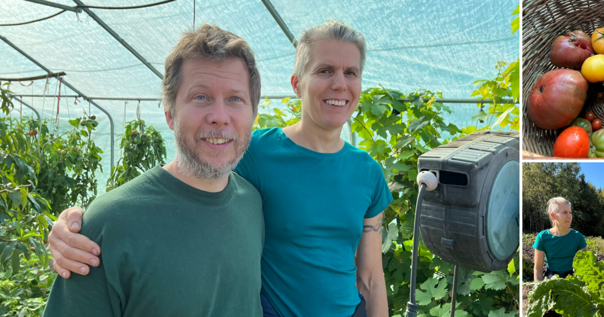 Korp och Robert hade helt år med köpstopp