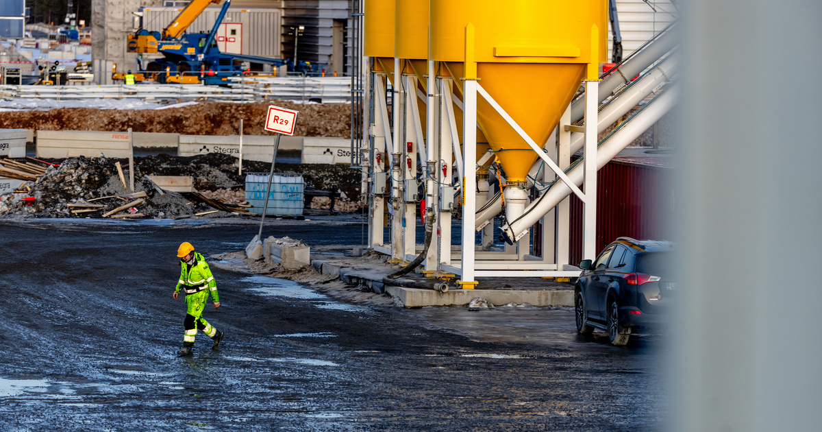 INSÄNDARE: Stegra biter sig själv i svansen