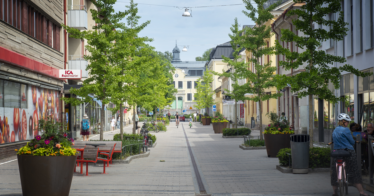 INSÄNDARE: Planteringar på Öster för dåliga: "Det är en skam för kommunen"