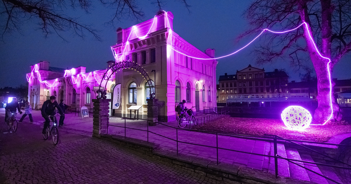 Rekordsiffra – så många besökte Allt ljus på Uppsala