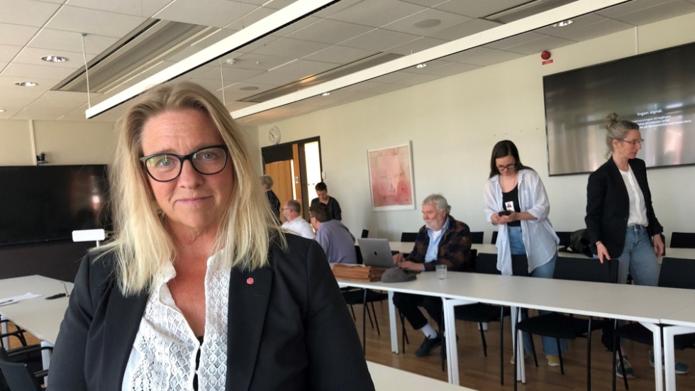 S och M vill utreda uppdelning av Gotland i region och kommun