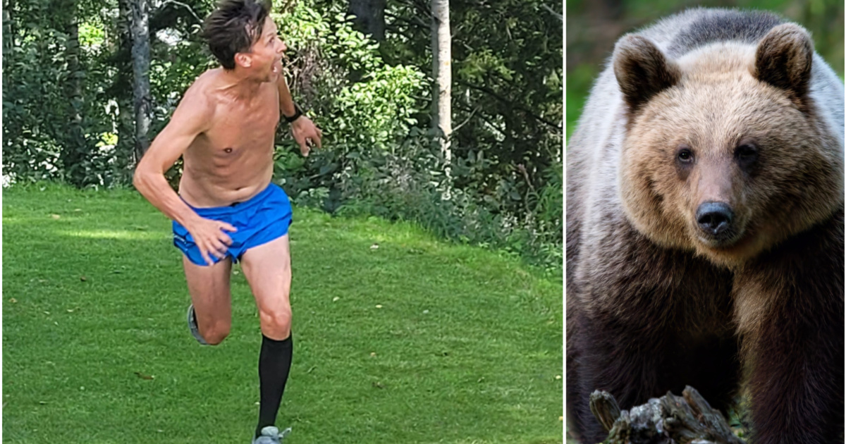 Skidlegendaren sprang på en björn i skogen