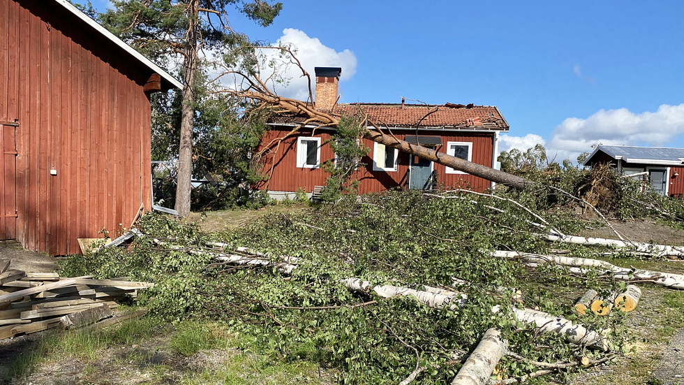 Klimatet: Malå hårdast drabbat av stormskador i hela Norrland