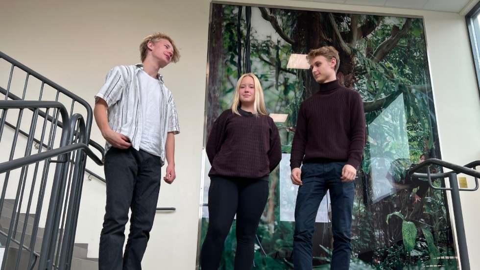 Teorin om hur skolvalet avgjordes: "De var först med att erbjuda Nocco"