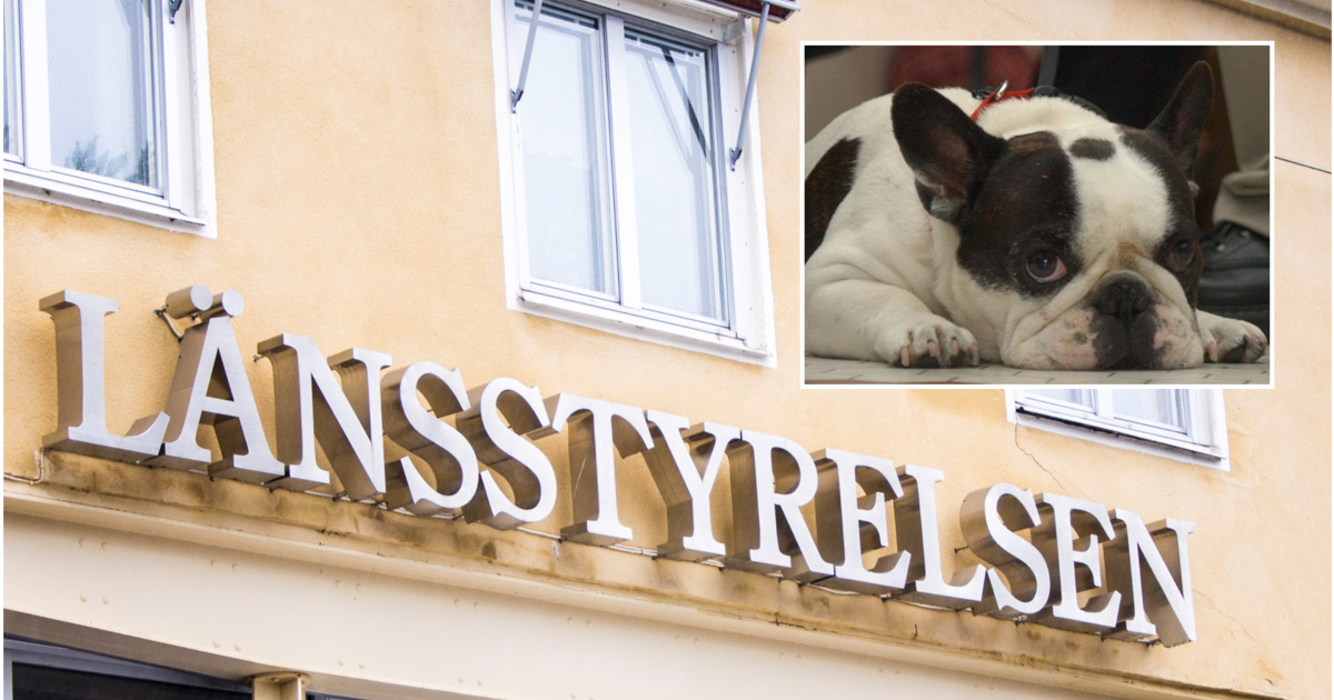 Piteåbo tvingas banta sin feta hund