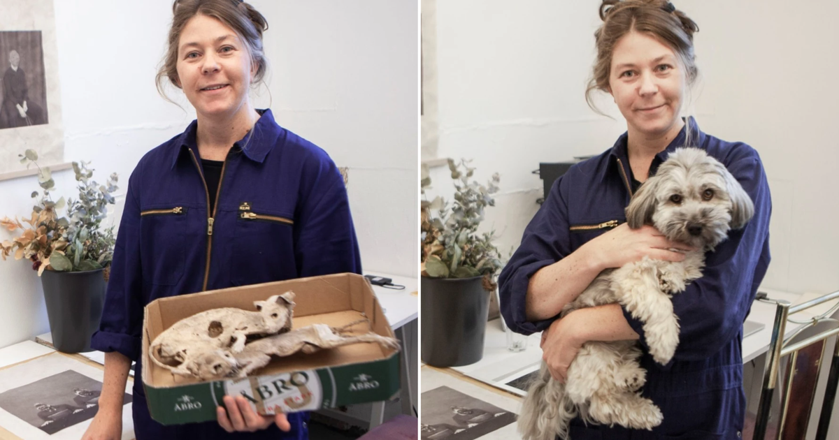 Döda katter och en levande hund – Anna tar oss från döden till livet ...