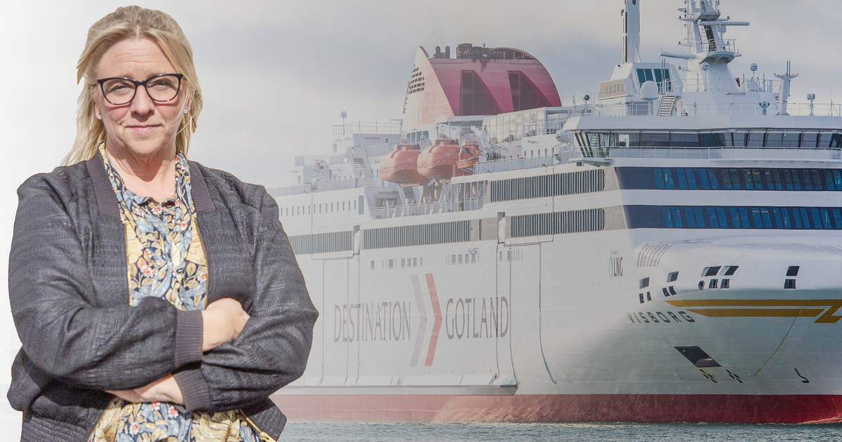 MEIT FOHLIN: "Vi har tillskrivit regeringen i fyra frågor, bl.a ...