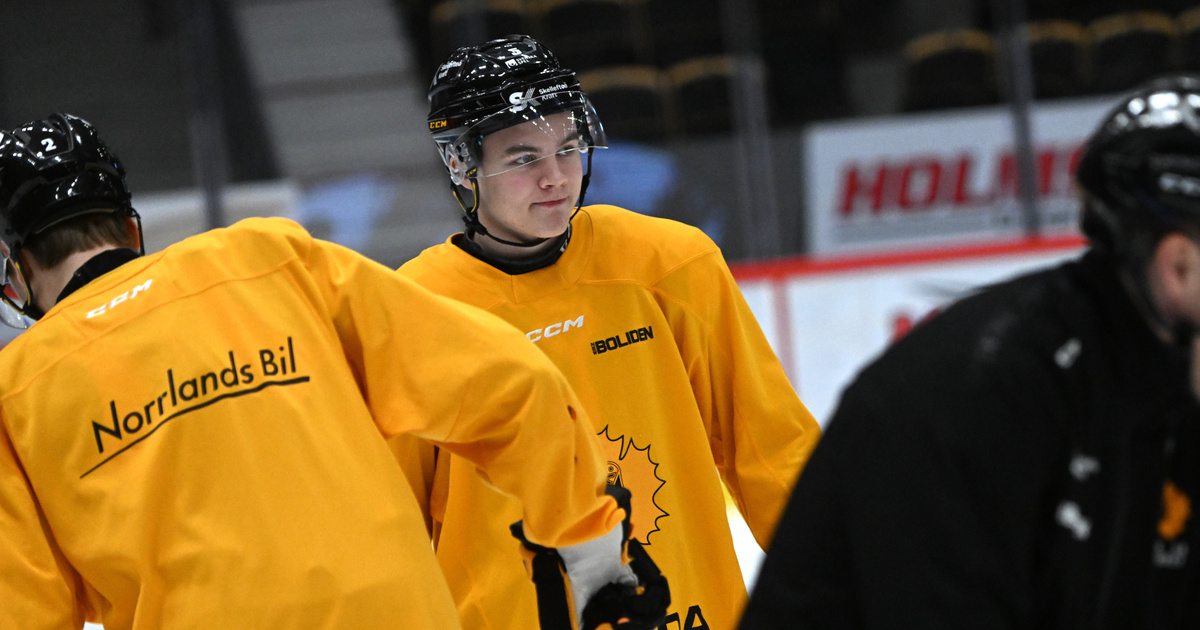 AIK:s drömbesked: Supertalangen tillbaka – kan spela mot Modo