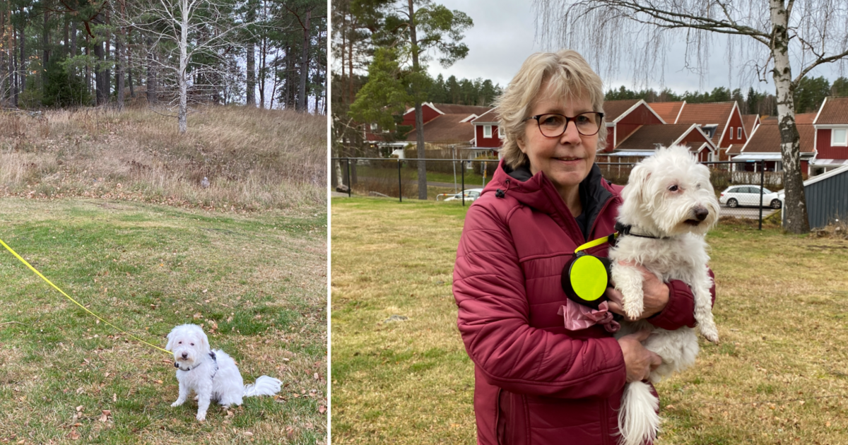 Vargoro på Nyhem: "Min lilla hund skulle kunna tas i ett nafs"
