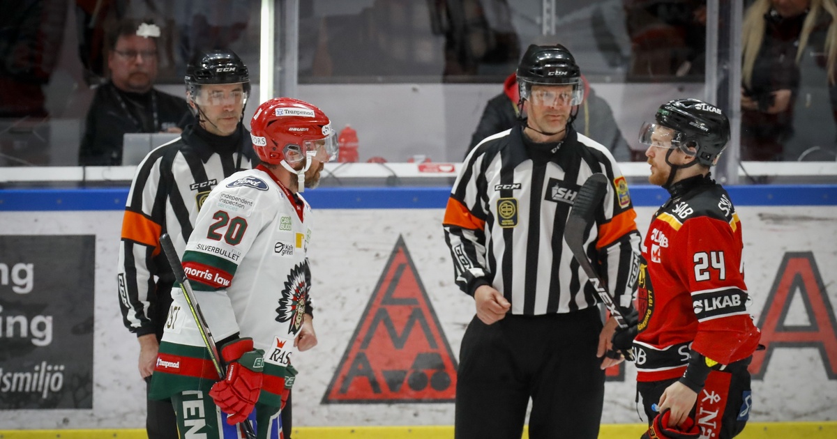 "Vill inte att hockeyn ska bli som fotbollen"