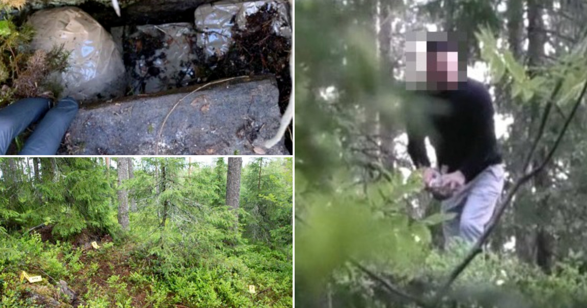 Undercover sting operation: brothers caught on camera, convicted