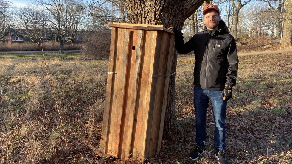 Mystiska trälådorna i Linköping: "Poängen att folk ska se dom"